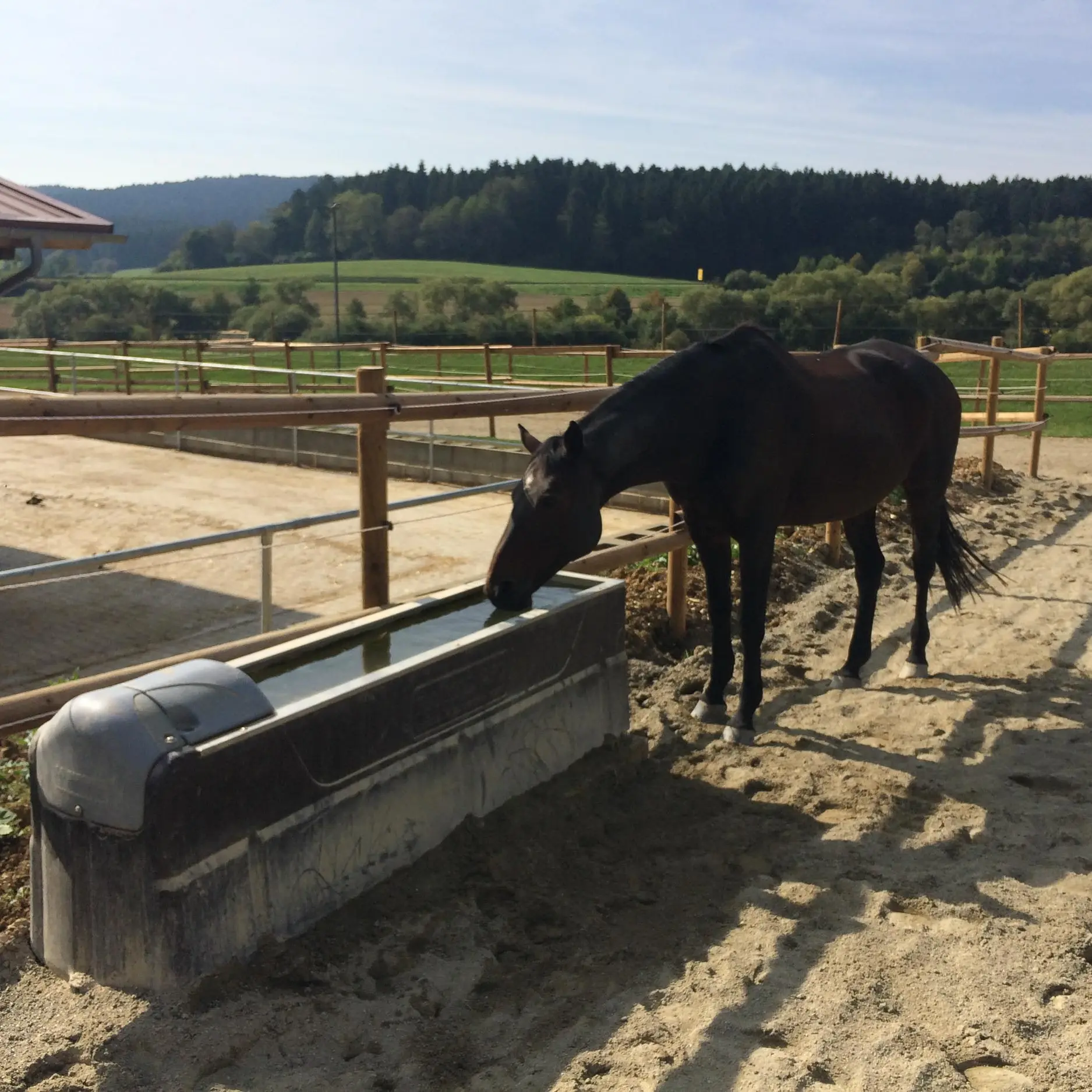 Ground Mats & Grids for Horses | Jelka